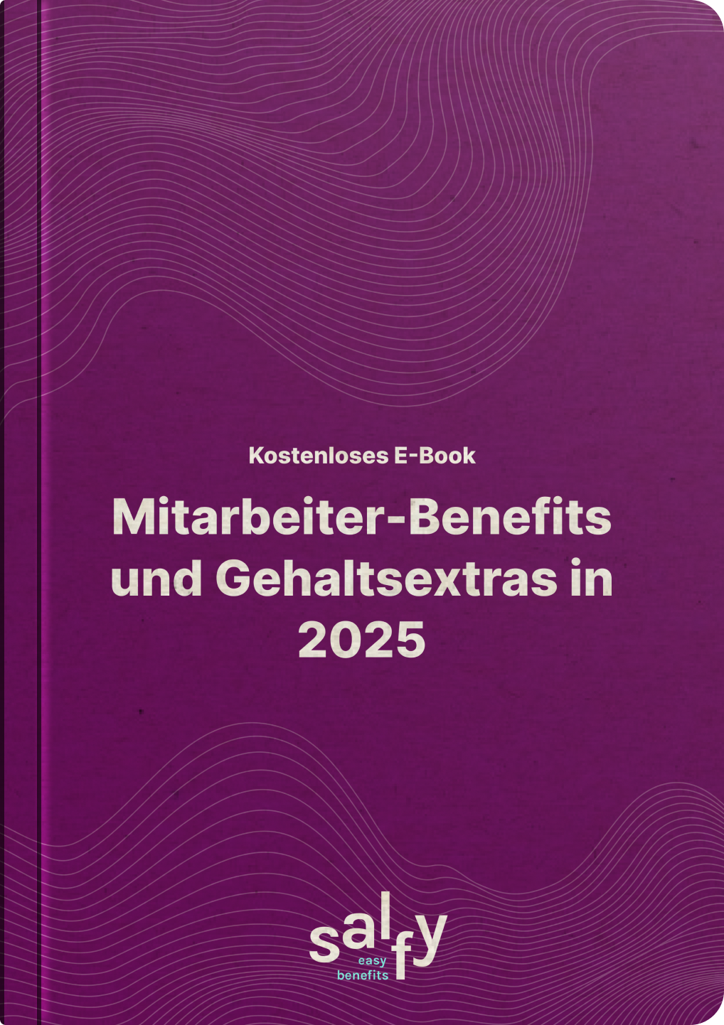 Mitarbeiter-Benefits E-Book Guide für Arbeitgeber | Salfy